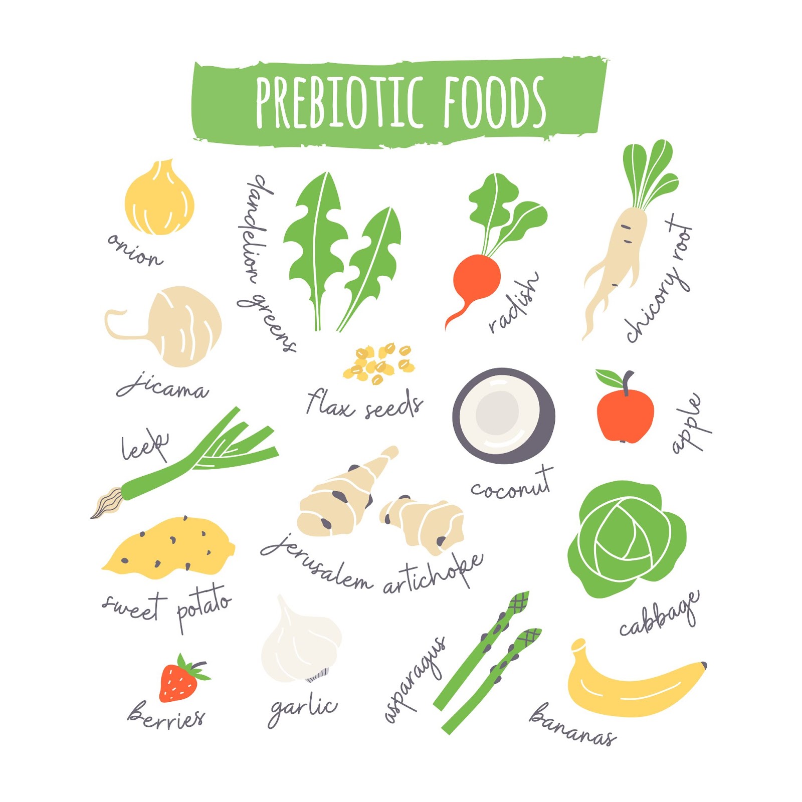 Gut Health: Probiotics, Prebiotics, and Lifestyle Tips